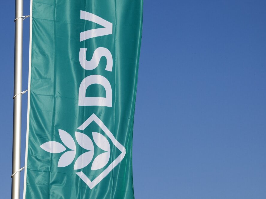 DSV | Kontakt